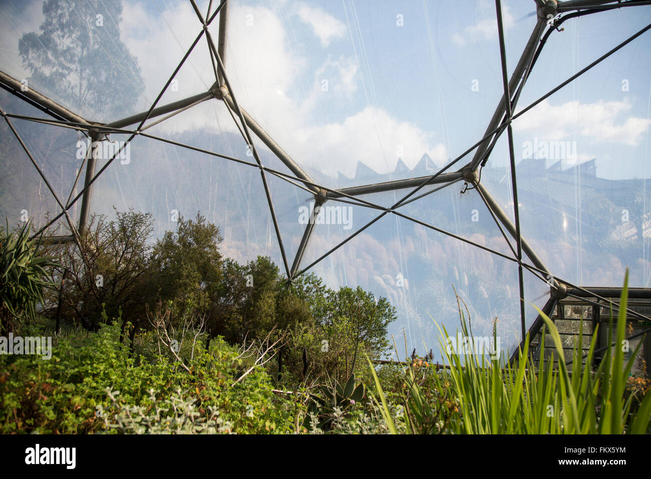 The Med Biome, Eden Project Stock Photo - Alamy