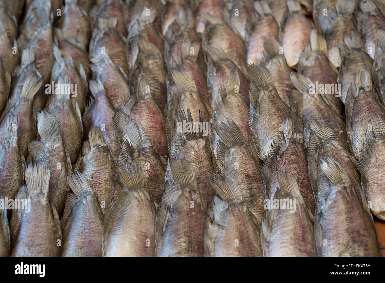 Preserved fish hi-res stock photography and images - Alamy