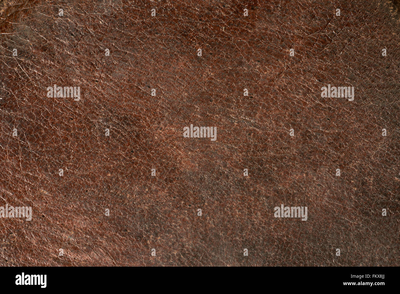 Old leather texture hi-res stock photography and images - Alamy