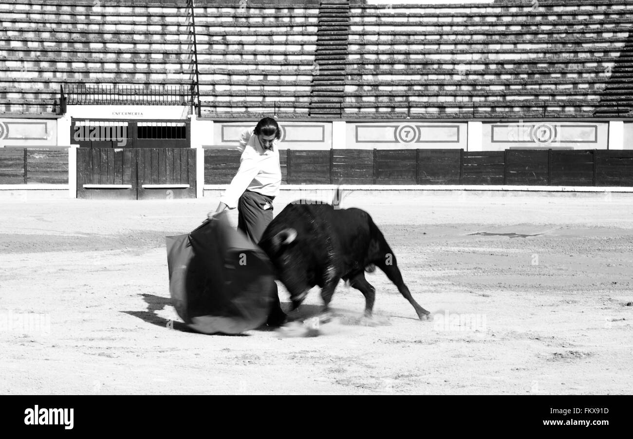 BADAJOZ, SPAIN, MAY 11: Training bullfight behind closed doors, on May ...