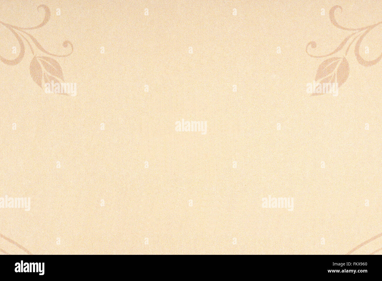 Beige paper texture background. Drawn flowers decorations at the edges ...