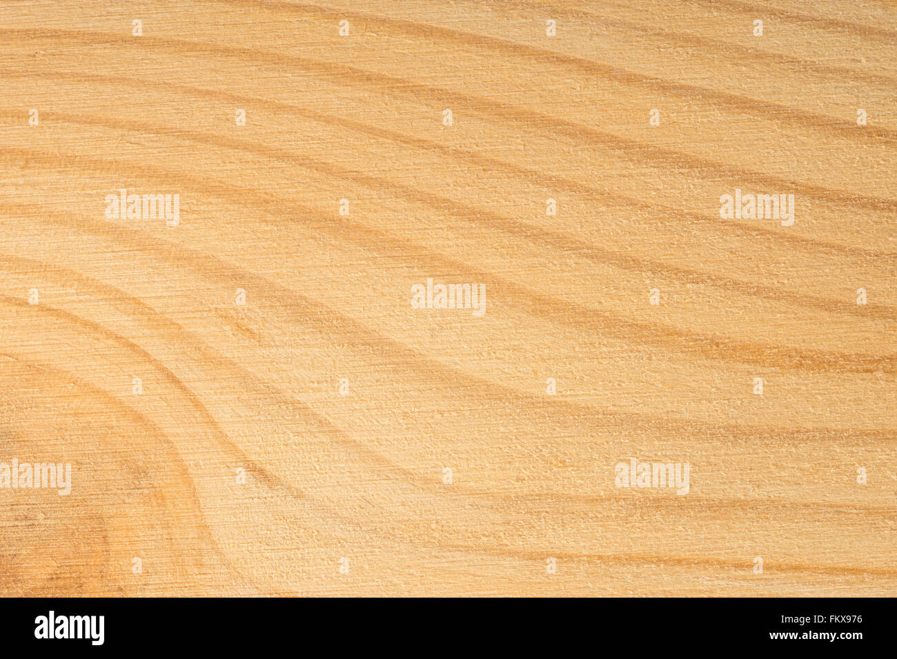Pine tree texture. Wood background, light natural pattern Stock Photo ...