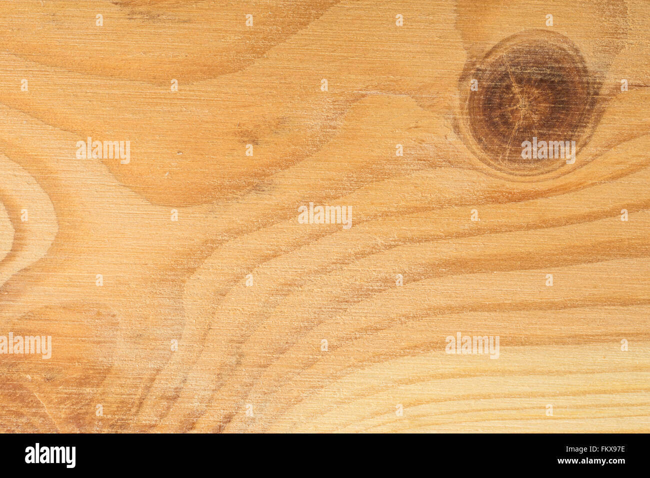 Pine tree texture. Wood background, light natural pattern Stock Photo ...