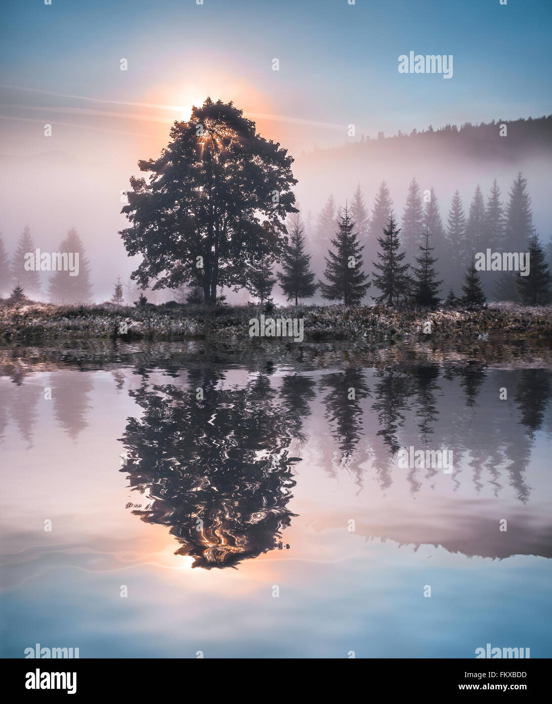 Beautiful reflective still waters hi-res stock photography and images ...