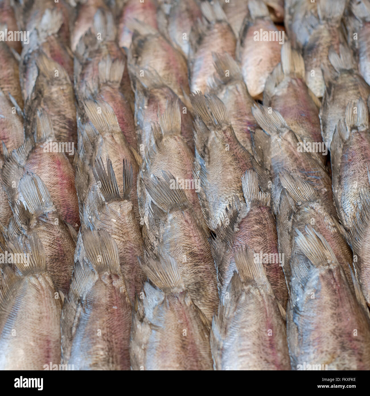 Dry preserved fish in market Stock Photo - Alamy