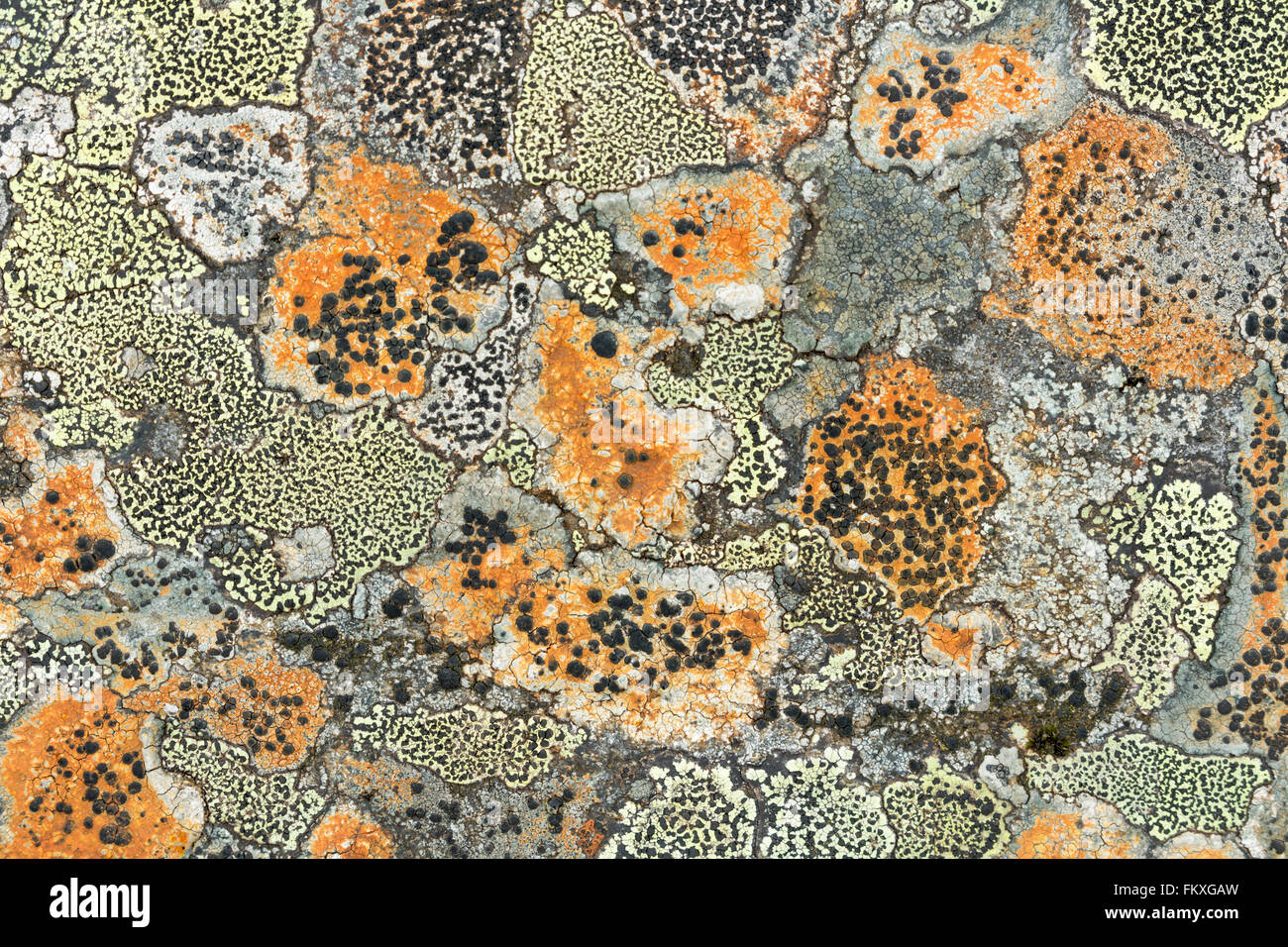 Boulder pattern hi-res stock photography and images - Alamy