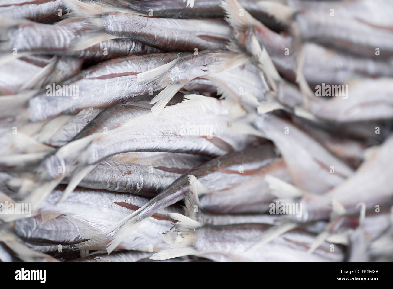 Dry preserved Silver fish in market Stock Photo - Alamy