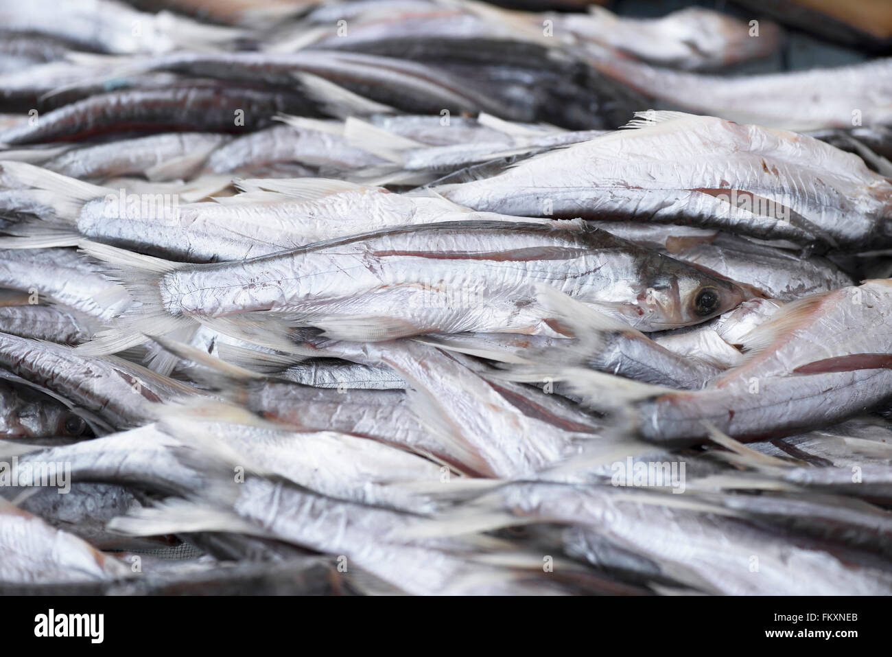 Dry preserved Silver fish in market Stock Photo - Alamy