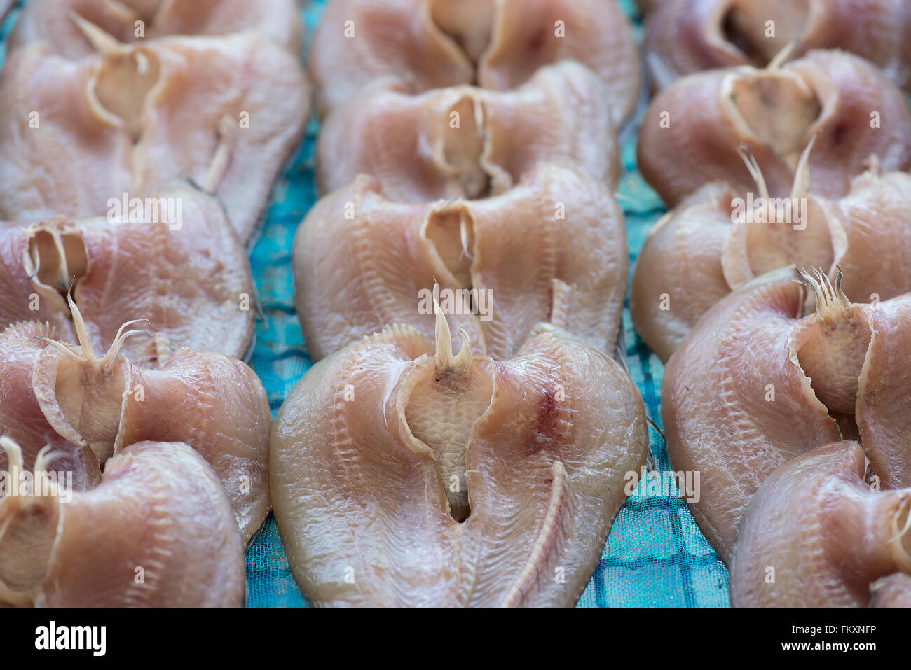 Dry preserved Snakehead fish in market Stock Photo - Alamy