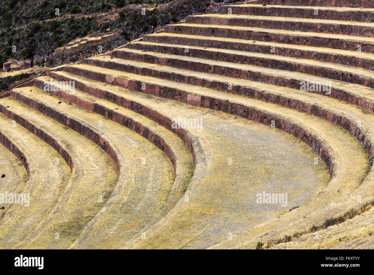 Dried grass in ancient hi-res stock photography and images - Alamy