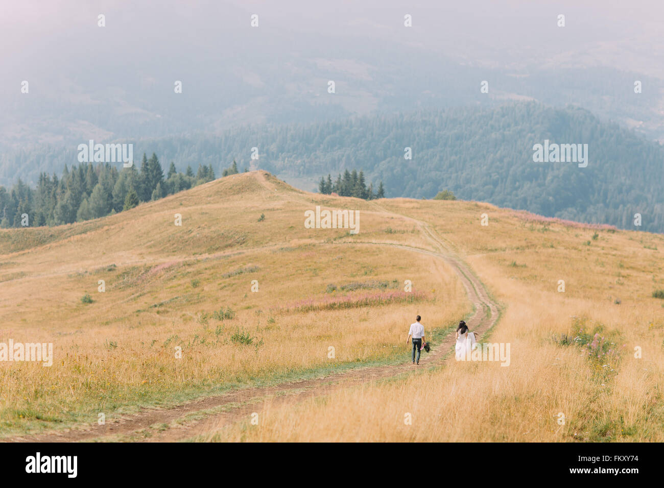 Charming wedding couple walking on the path. Alpine mountains ...