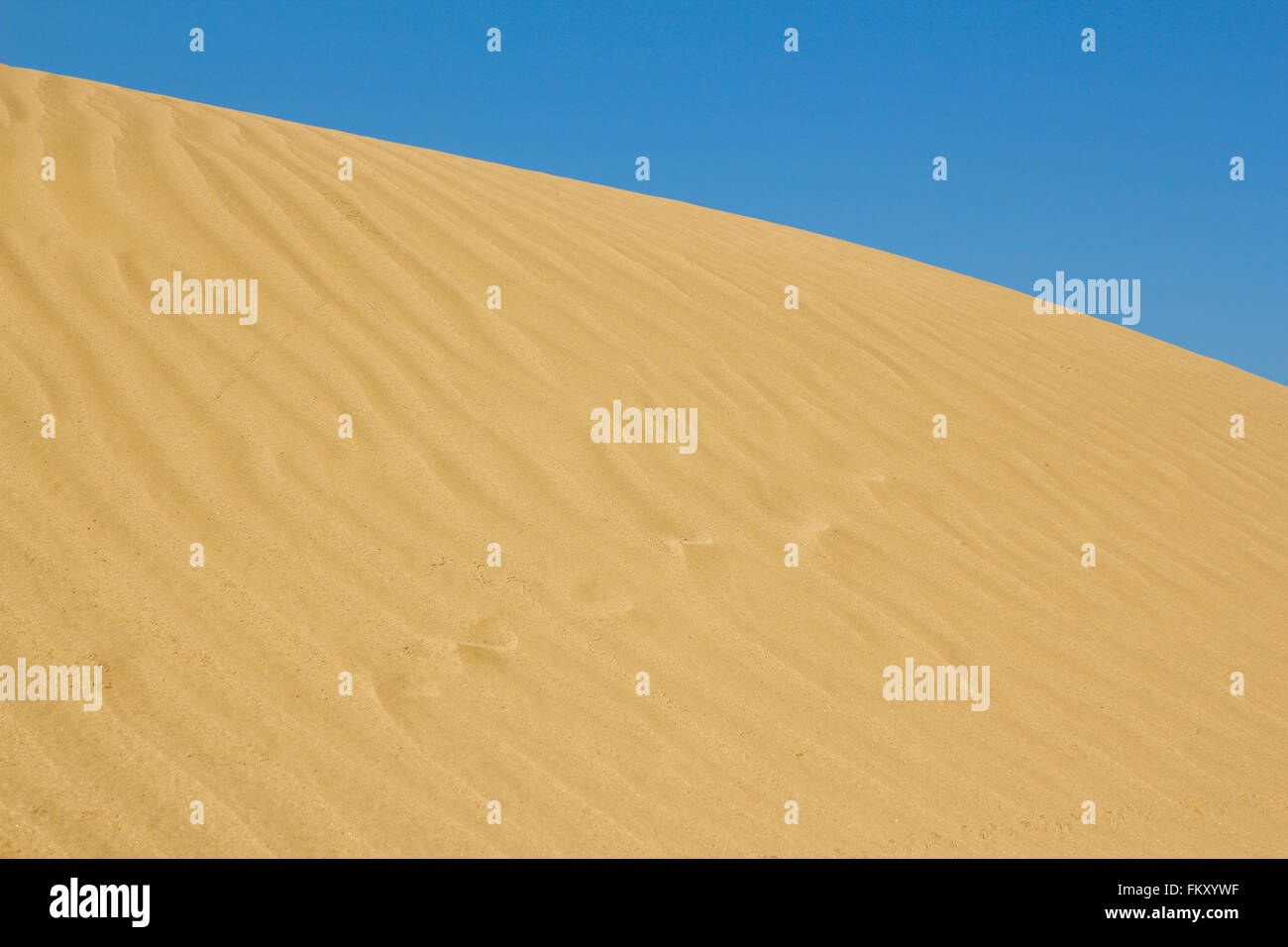gold sand dune Stock Photo - Alamy