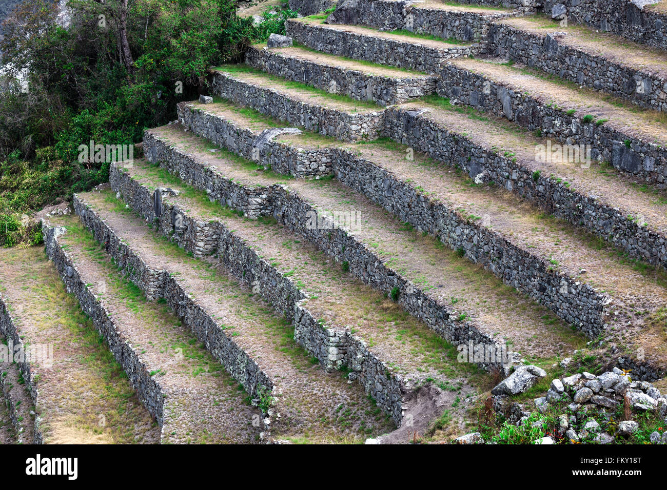 stone terraces on the mountain of Machu Picchu Stock Photo - Alamy