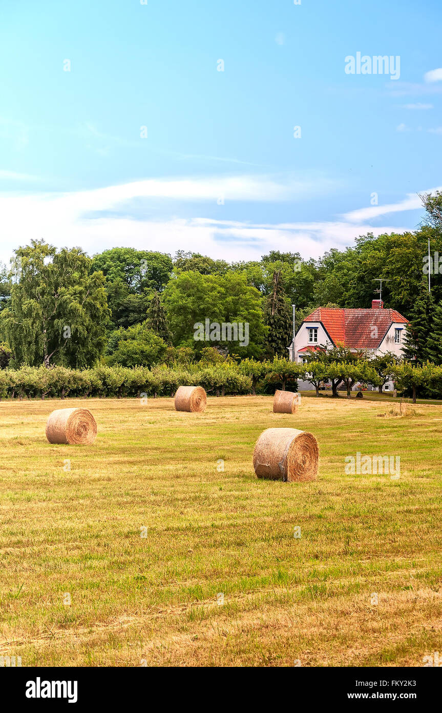 Skåne hi-res stock photography and images - Alamy