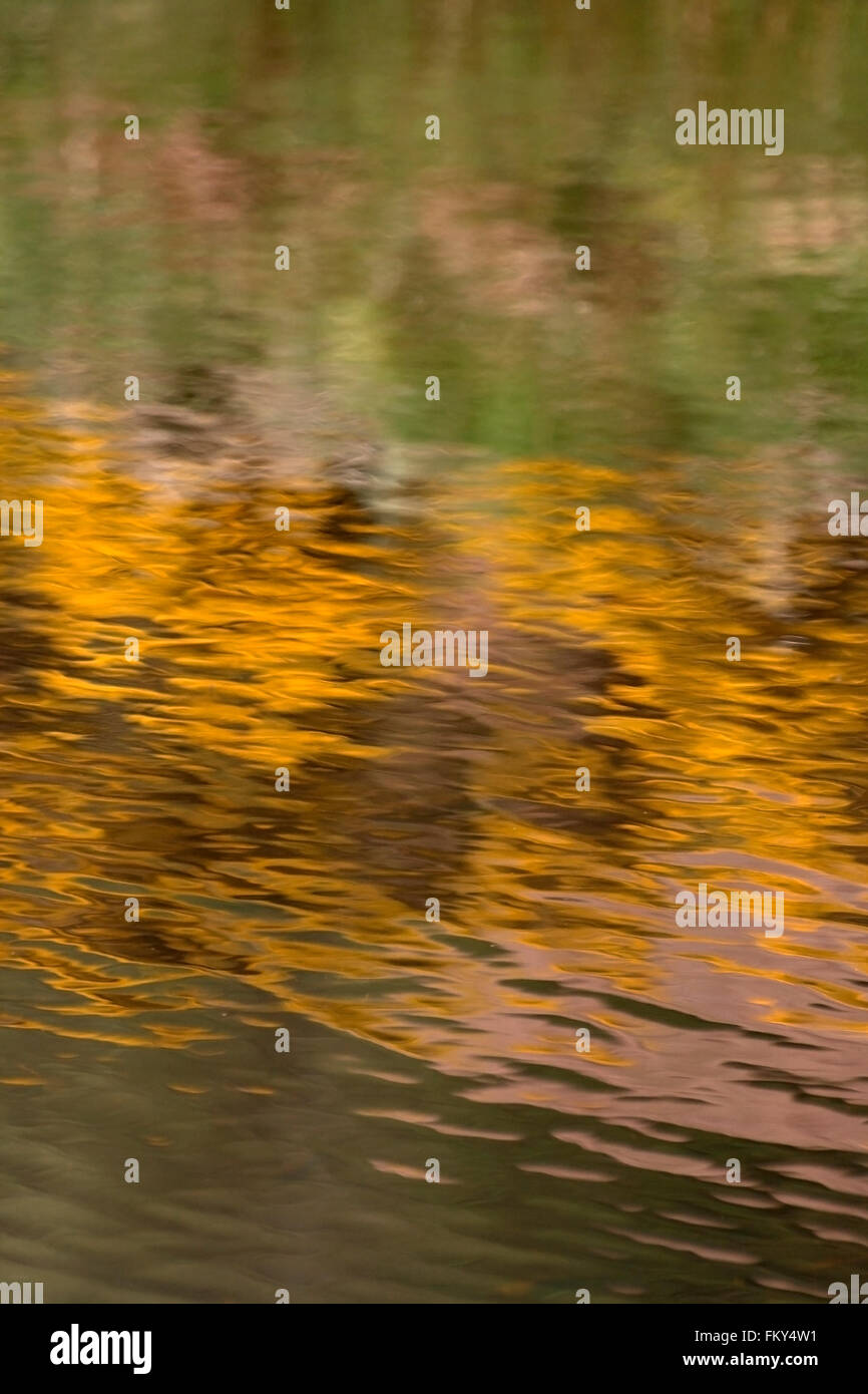 Painterly water texture hi-res stock photography and images - Alamy