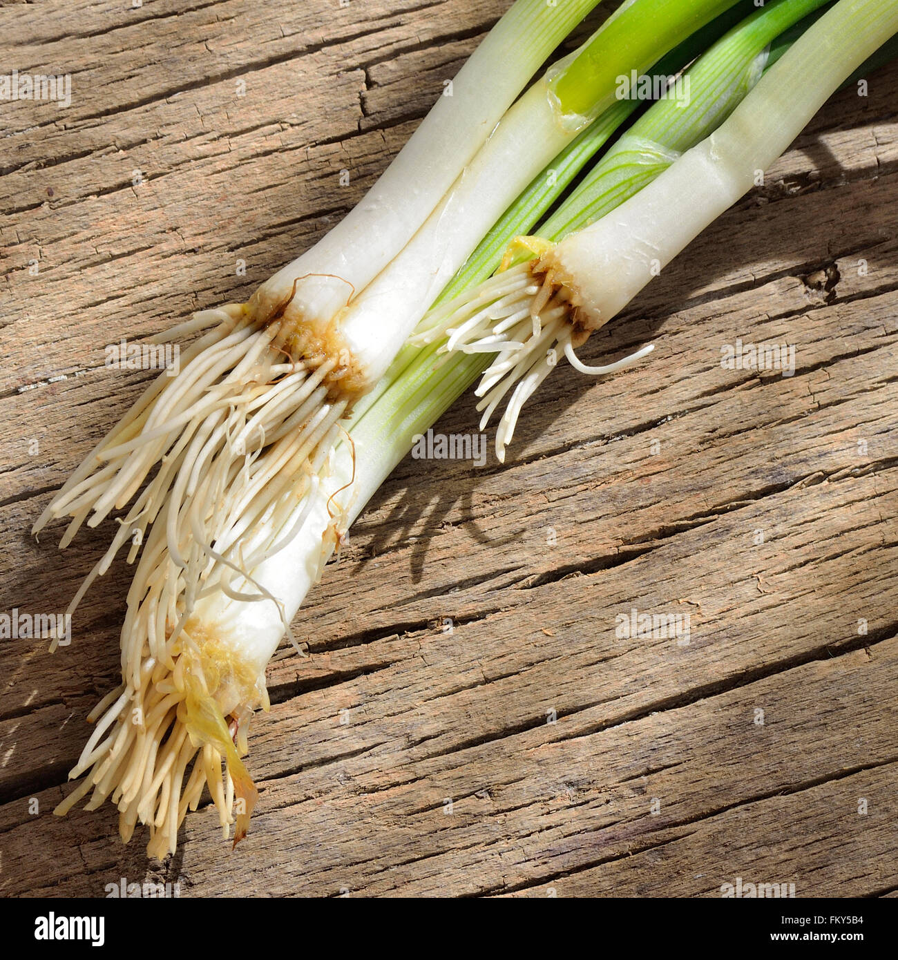 Long spring onions hi-res stock photography and images - Alamy