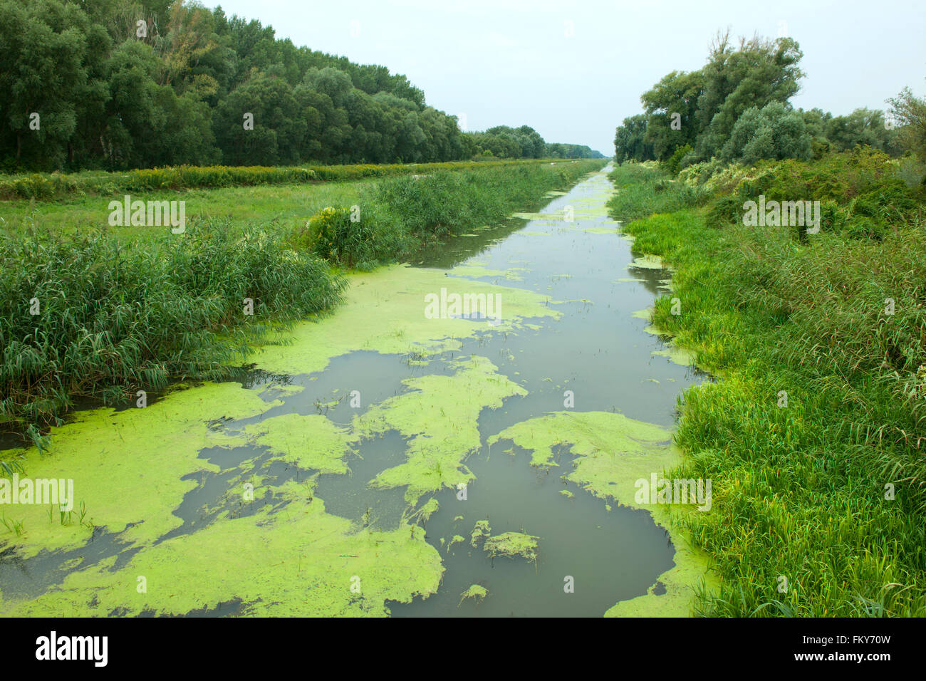 Österreich, Burgenland, Andau, Einser-Kanal an der Brücke von Andau ...