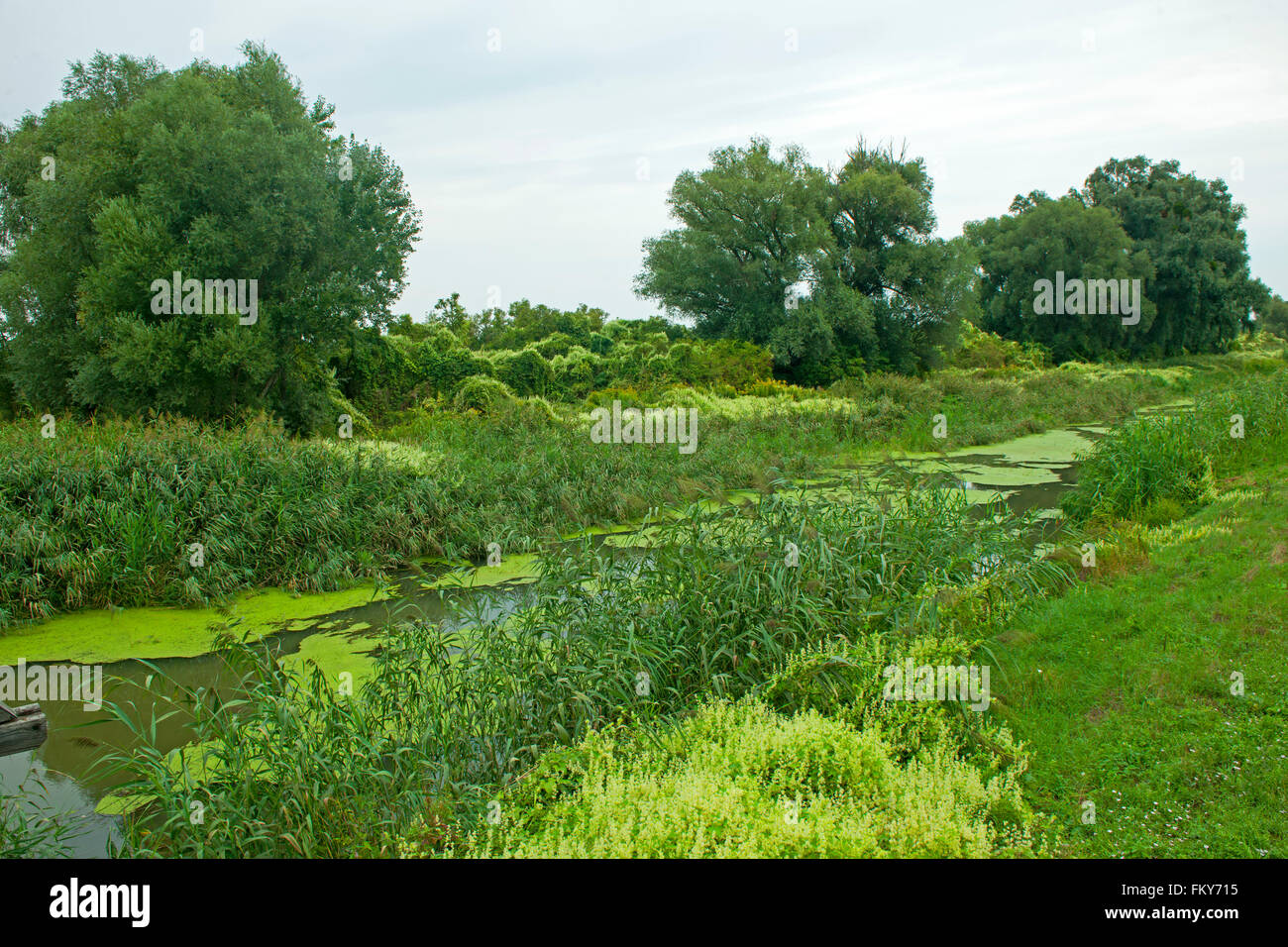 Österreich, Burgenland, Andau, Einser-Kanal an der Brücke von Andau ...