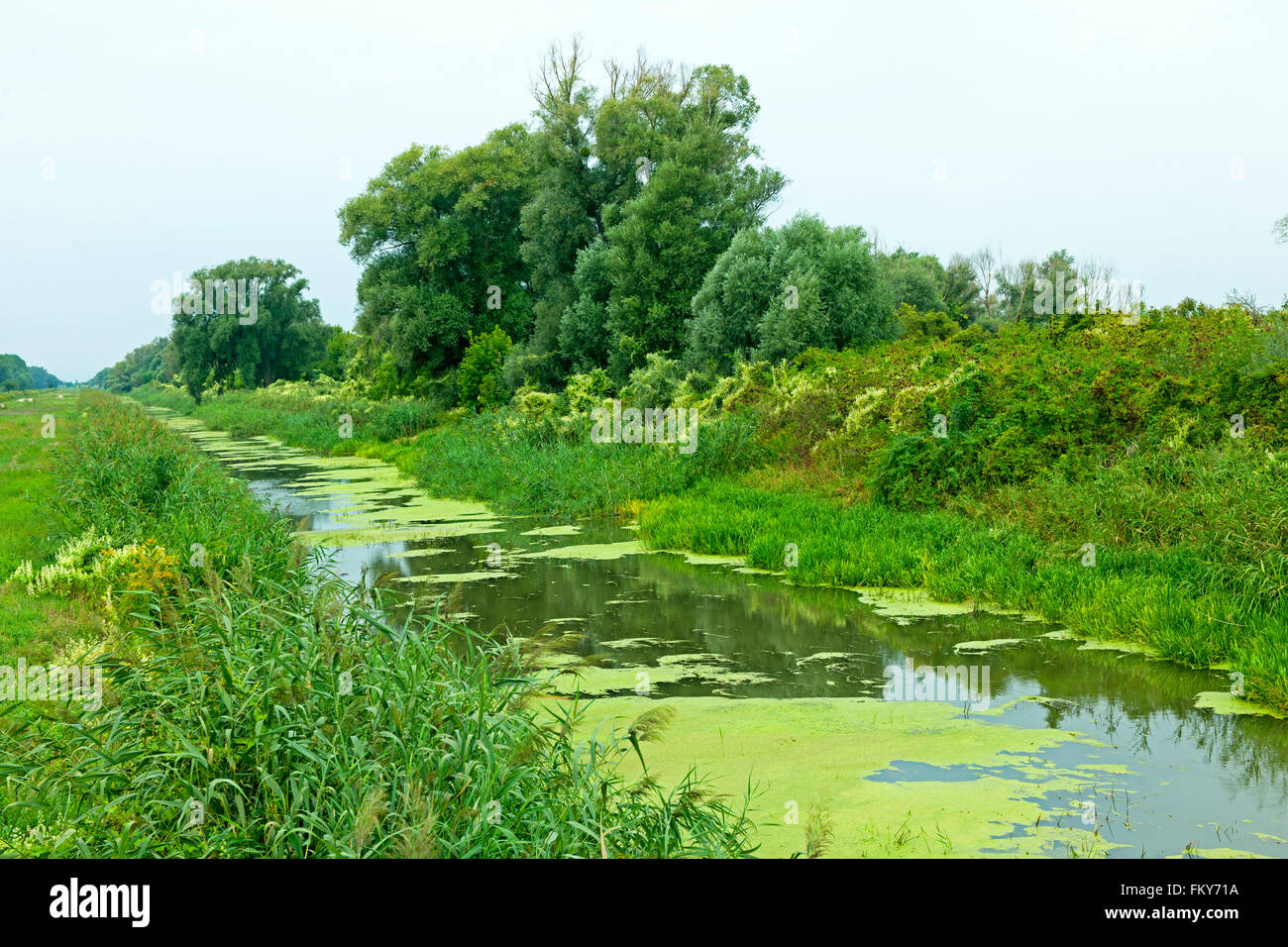 Österreich, Burgenland, Andau, Einser-Kanal an der Brücke von Andau ...