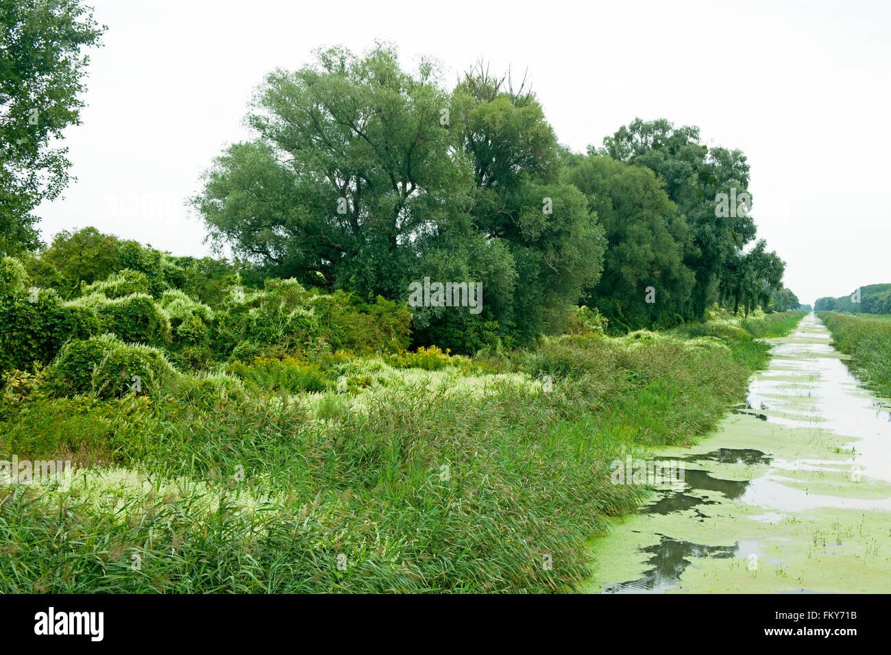 Österreich, Burgenland, Andau, Einser-Kanal an der Brücke von Andau ...