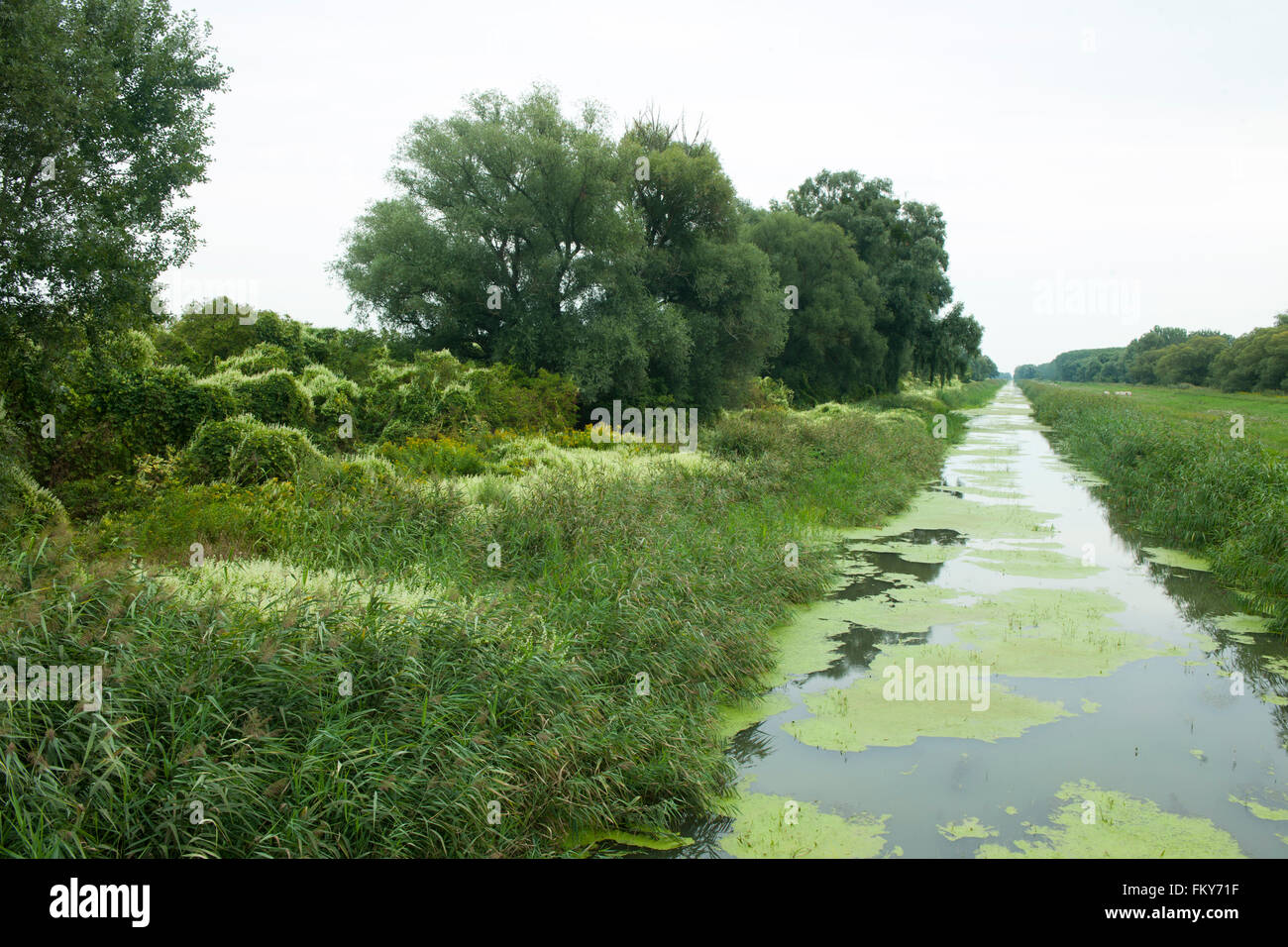 Österreich, Burgenland, Andau, Einser-Kanal an der Brücke von Andau ...