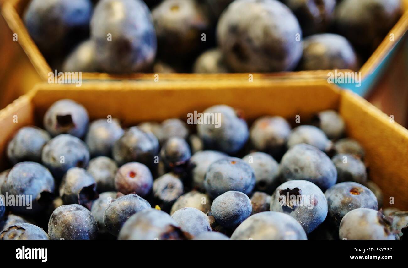 Baskets of wild blueberries at a farmers market Stock Photo - Alamy