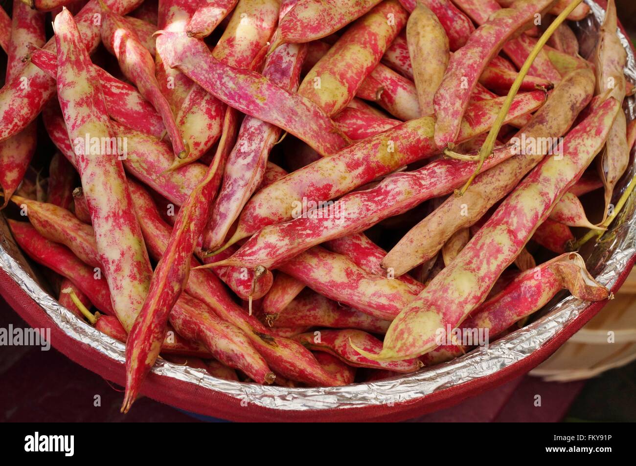 Fresh pink flecked cranberry beans in the shell Stock Photo - Alamy