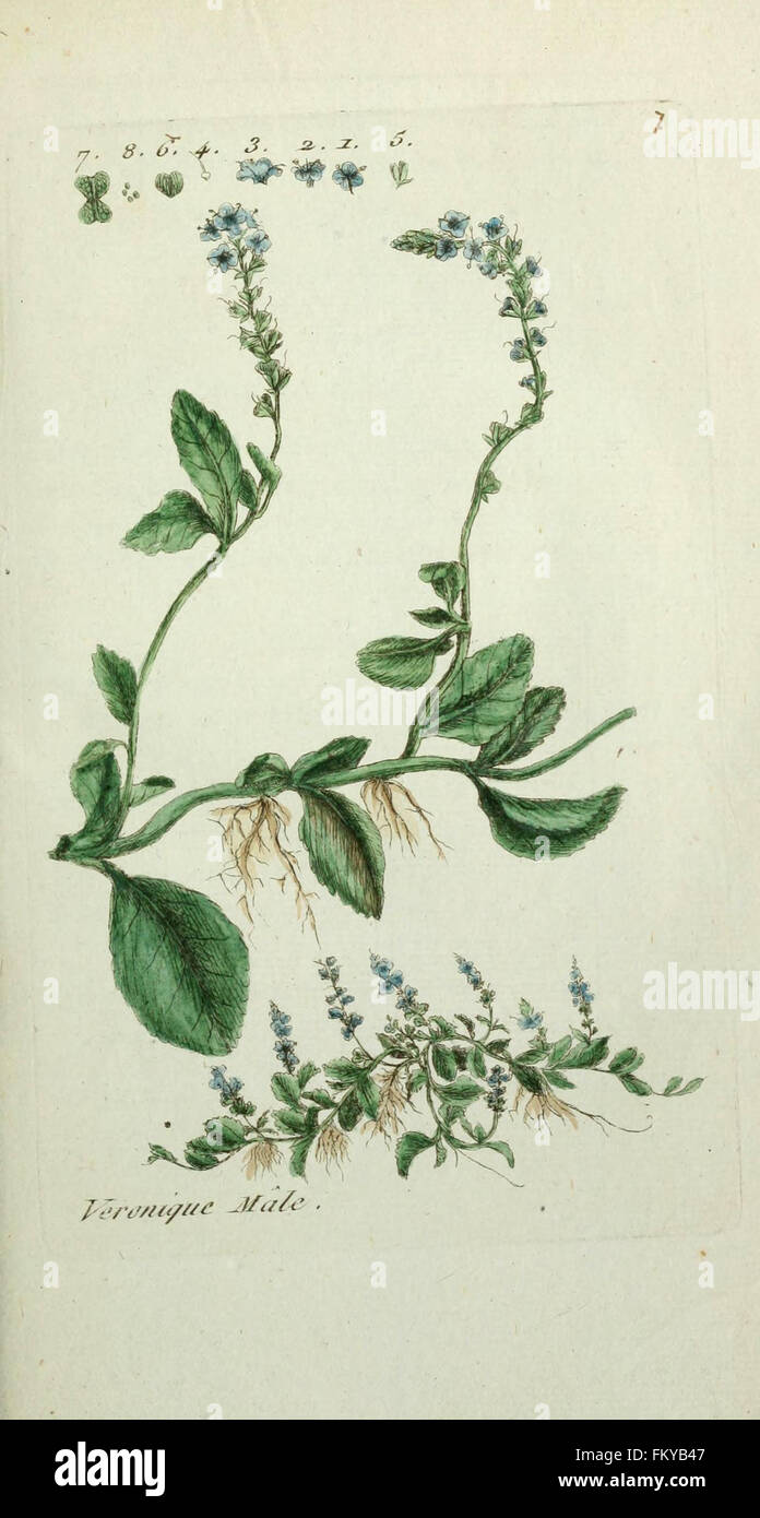'Flora Parisiensis' (Plate 7) showcases the plants native to Paris and ...