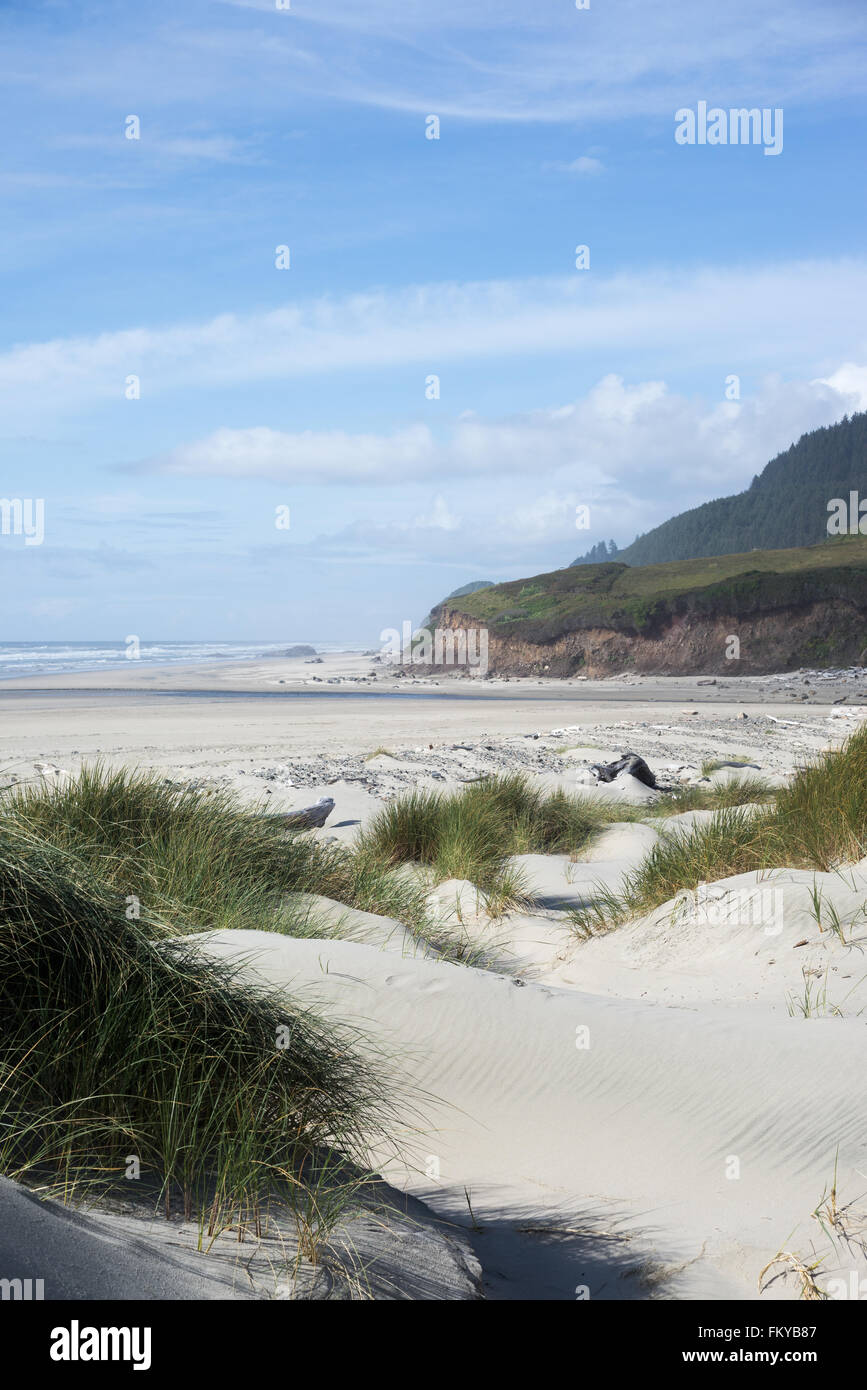 A beautiful spring day on an Oregon coast beach in Lane County Stock ...