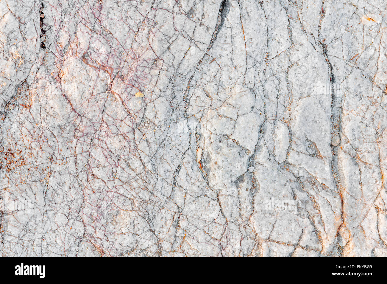 White texture of sea stone Stock Photo - Alamy