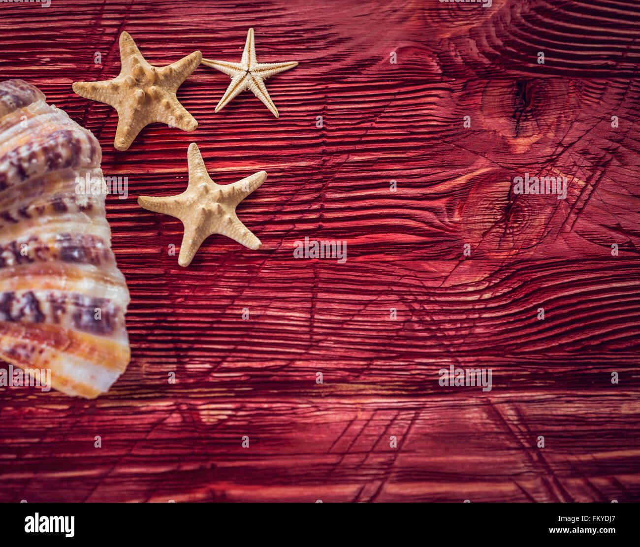 Sea objects - shells, sea stars on red wooden background Stock Photo ...