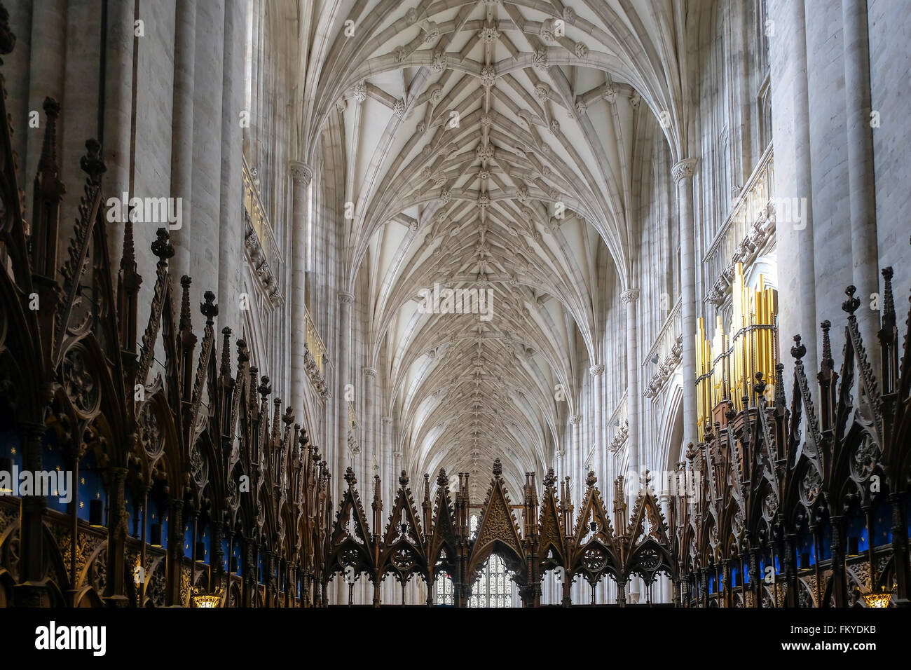 Interior View of Winchester Cathedral Stock Photo - Alamy