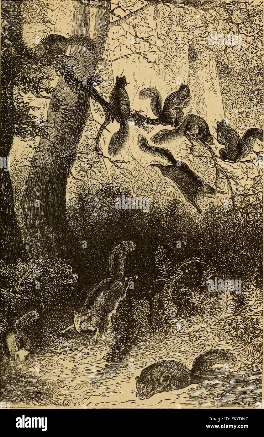 Four limbs hi-res stock photography and images - Alamy