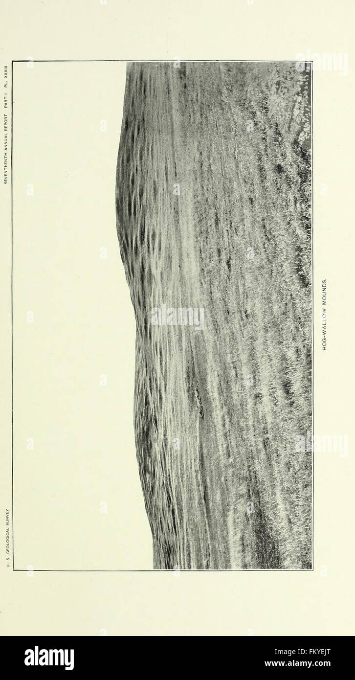 This 1895 annual report from the U.S. Geological Survey provides ...