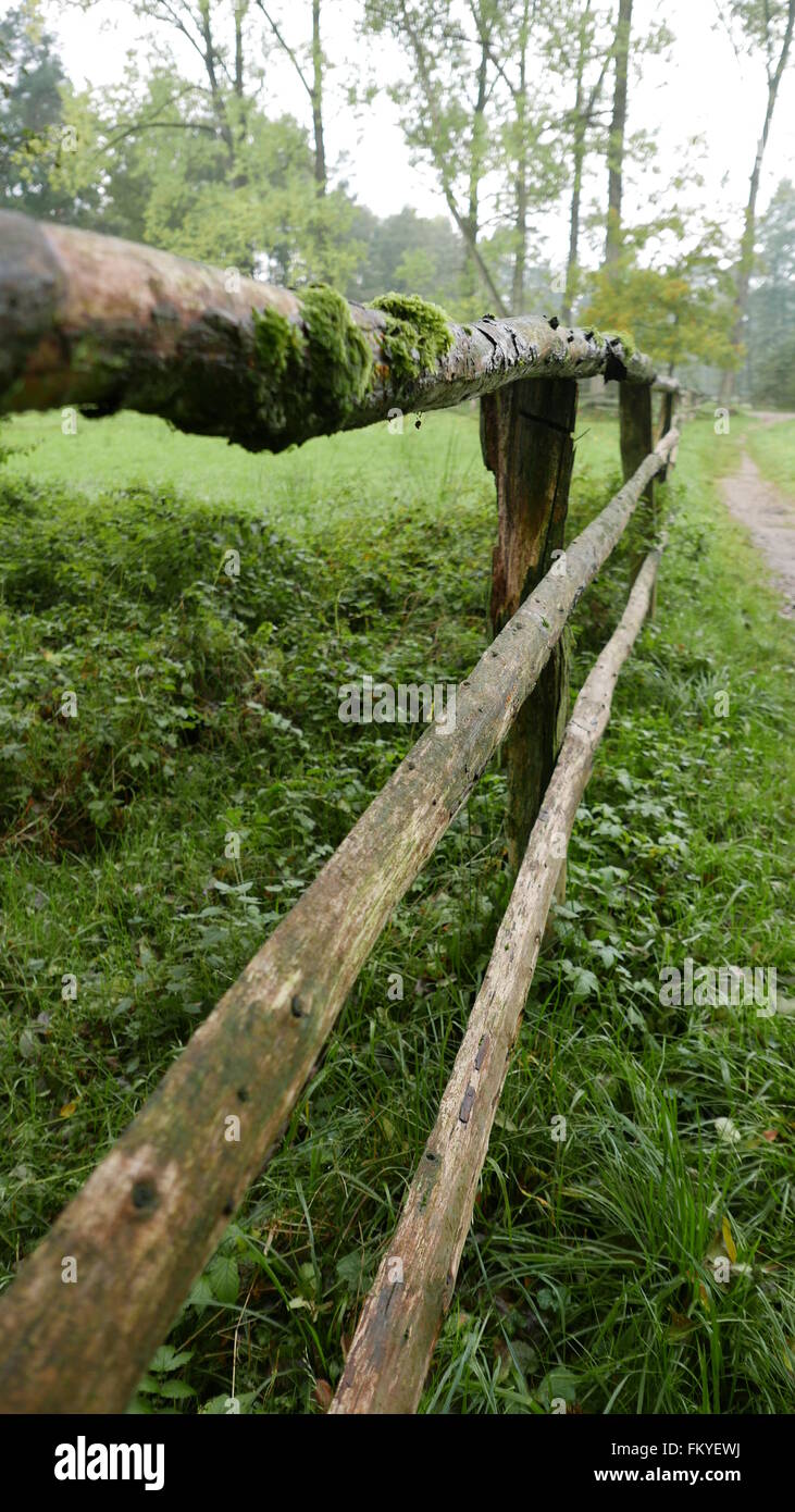 Moss overgrown hi-res stock photography and images - Alamy