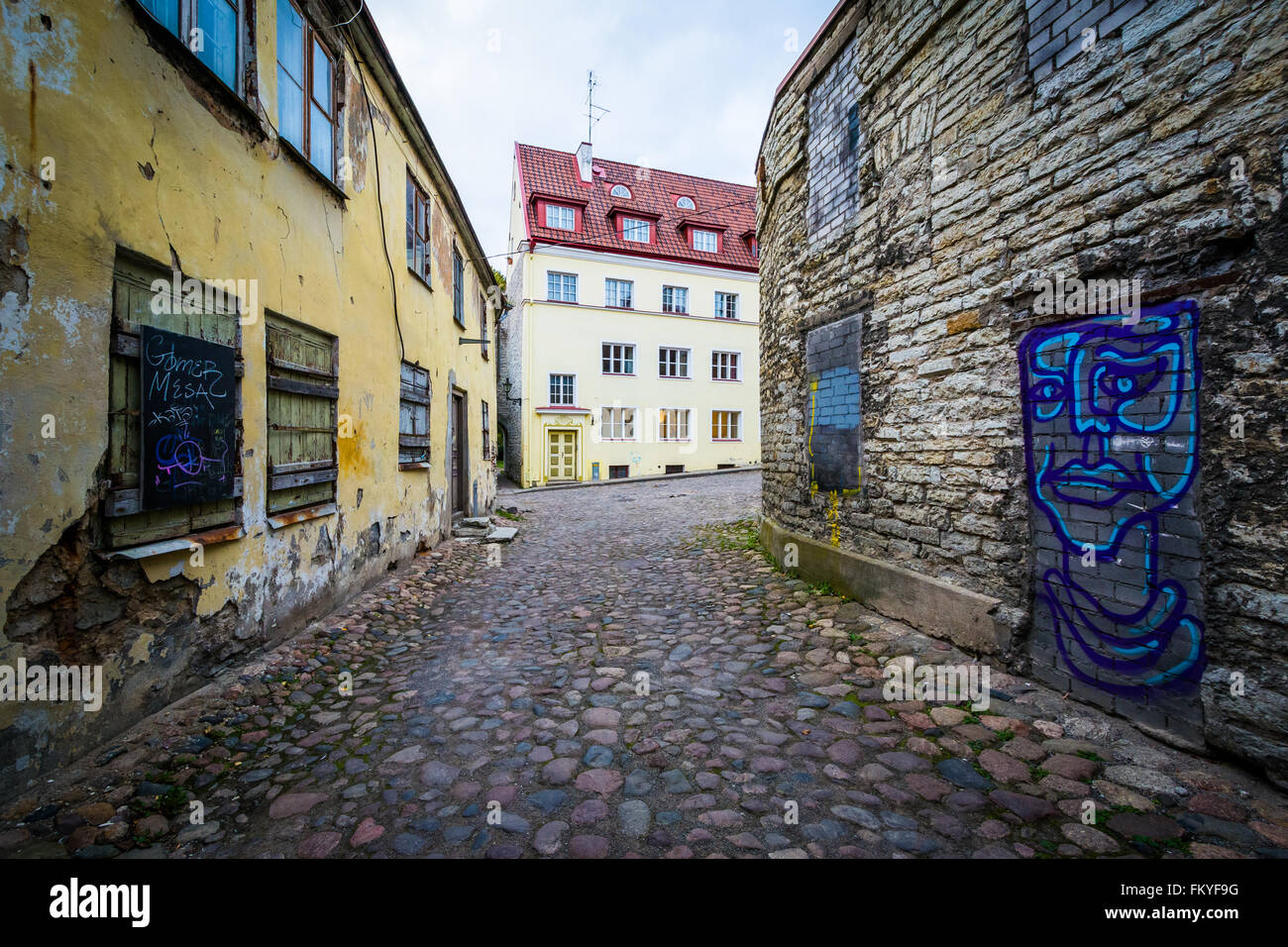 Graffiti along narrow cobblestone hi-res stock photography and images ...