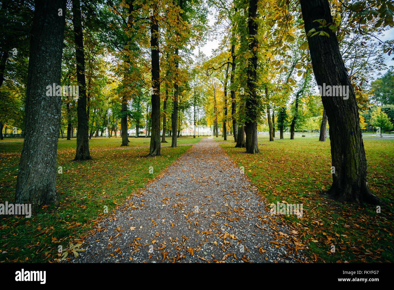 Early autumn color along a walkway seen at Kadrioru Park, in Tallinn ...
