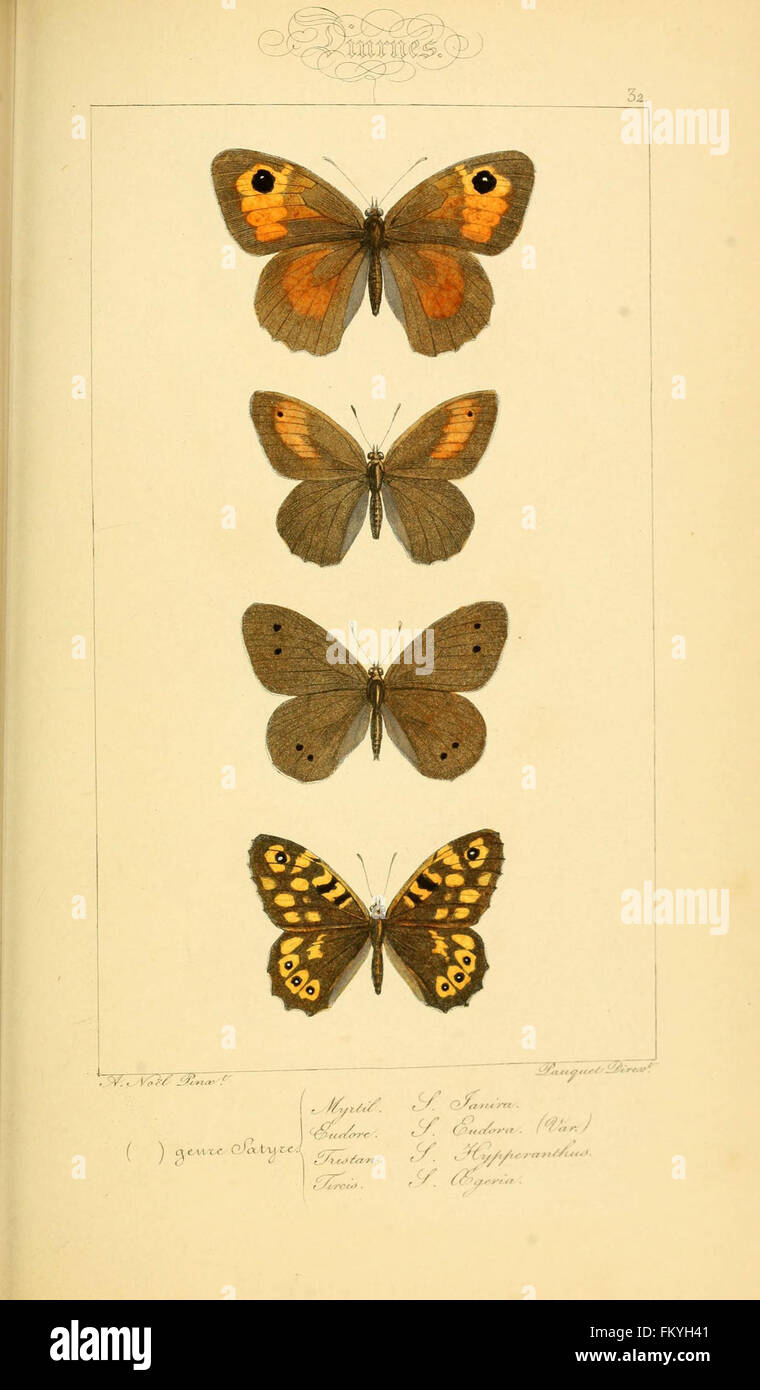 'Histoire naturelle des Lépidoptères d'Europe' (Plate 32) presents ...