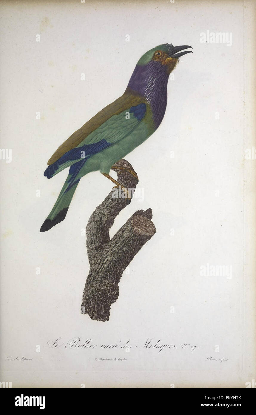 This French-language work provides detailed illustrations of birds of ...