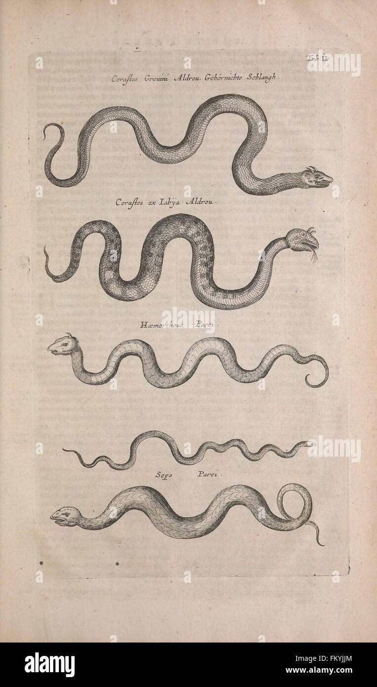 This 18th-century work covers natural history, focusing on quadrupeds ...