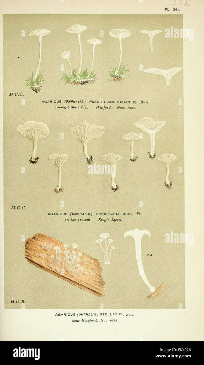 This publication provides illustrations of British fungi from the ...