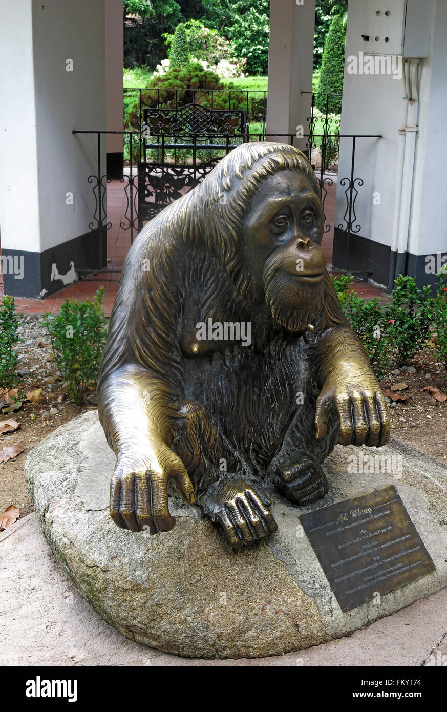 Bronze staue of Ah Meng famous orangutan Stock Photo - Alamy
