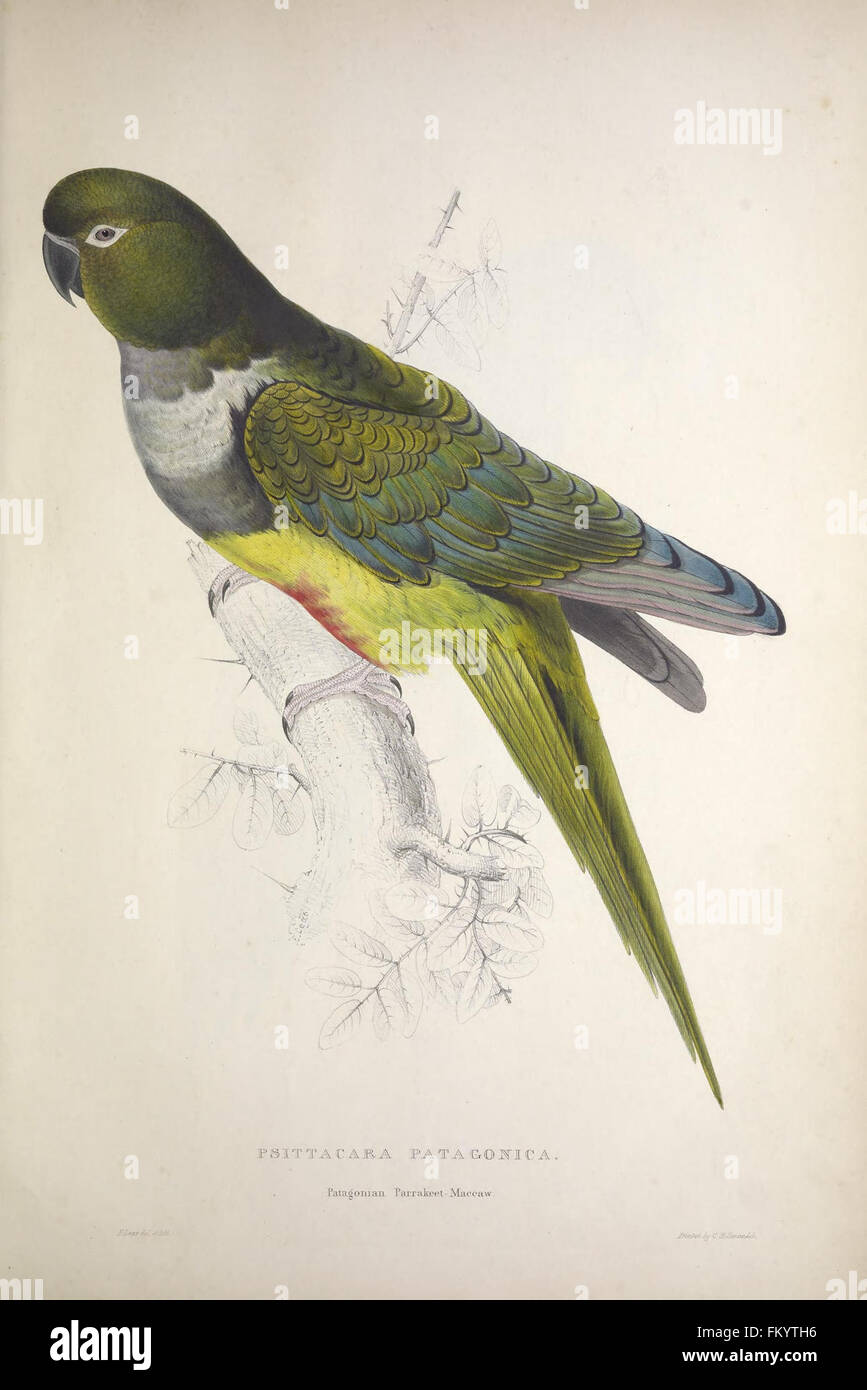 This plate from the Smithsonian Institution Libraries showcases ...