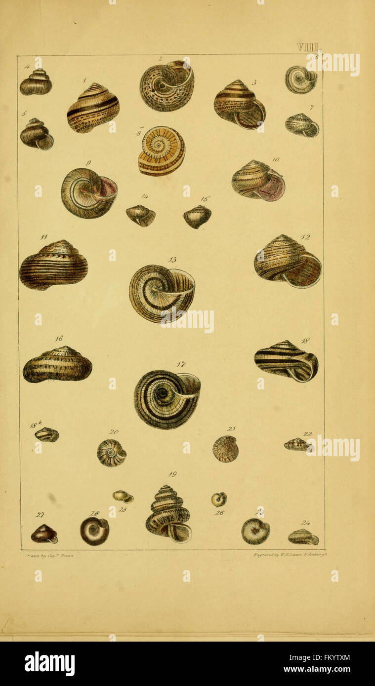 This plate provides detailed illustrations of land and freshwater ...