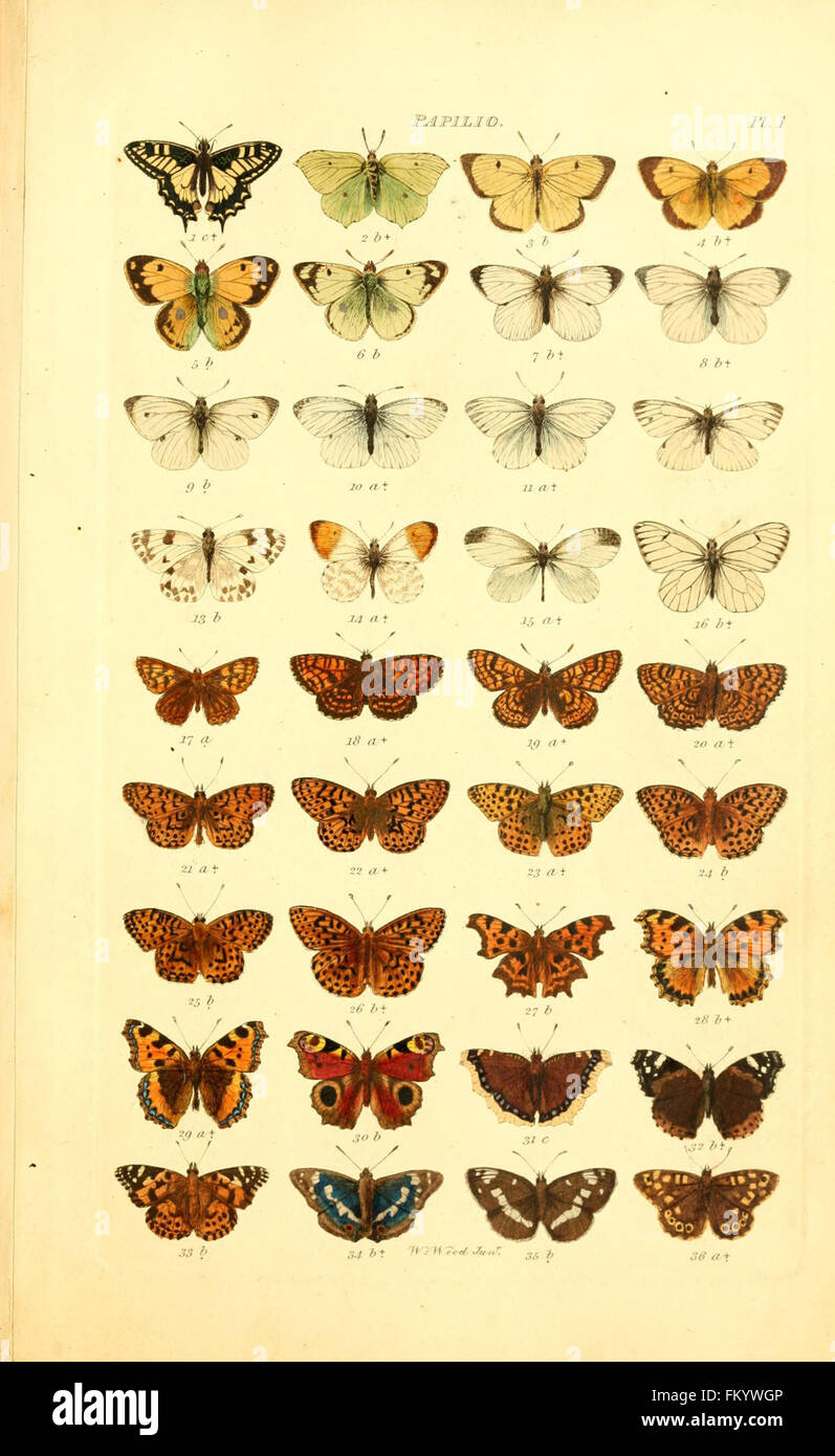 This catalog provides a comprehensive illustrated guide to ...