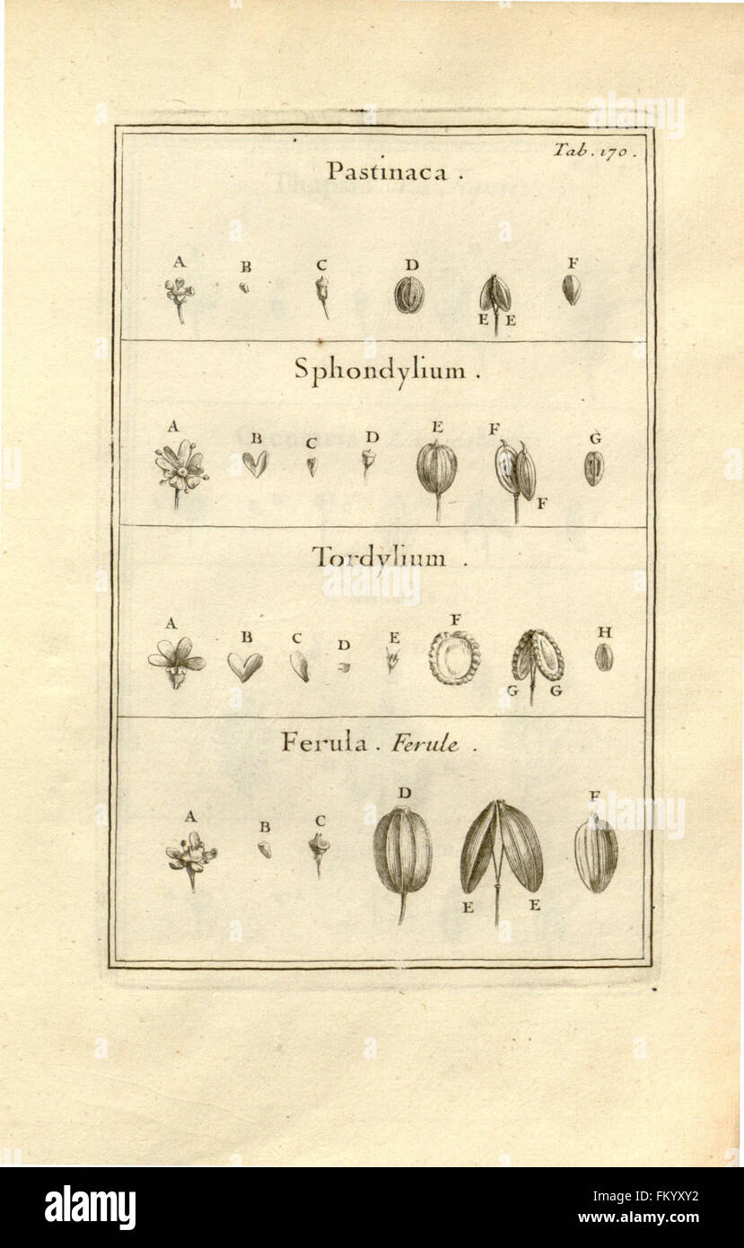 A botanical work by Joseph Pitton de Tournefort, focusing on plant ...