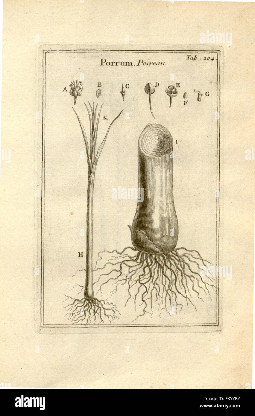 This botanical work by Joseph Pitton de Tournefort, focusing on ...
