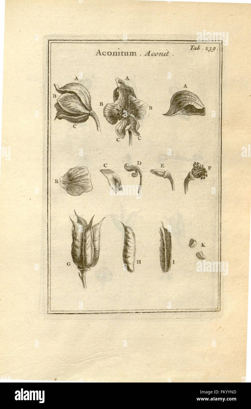 An illustration from 'Institutiones rei herbariæ' by Joseph Pitton de ...