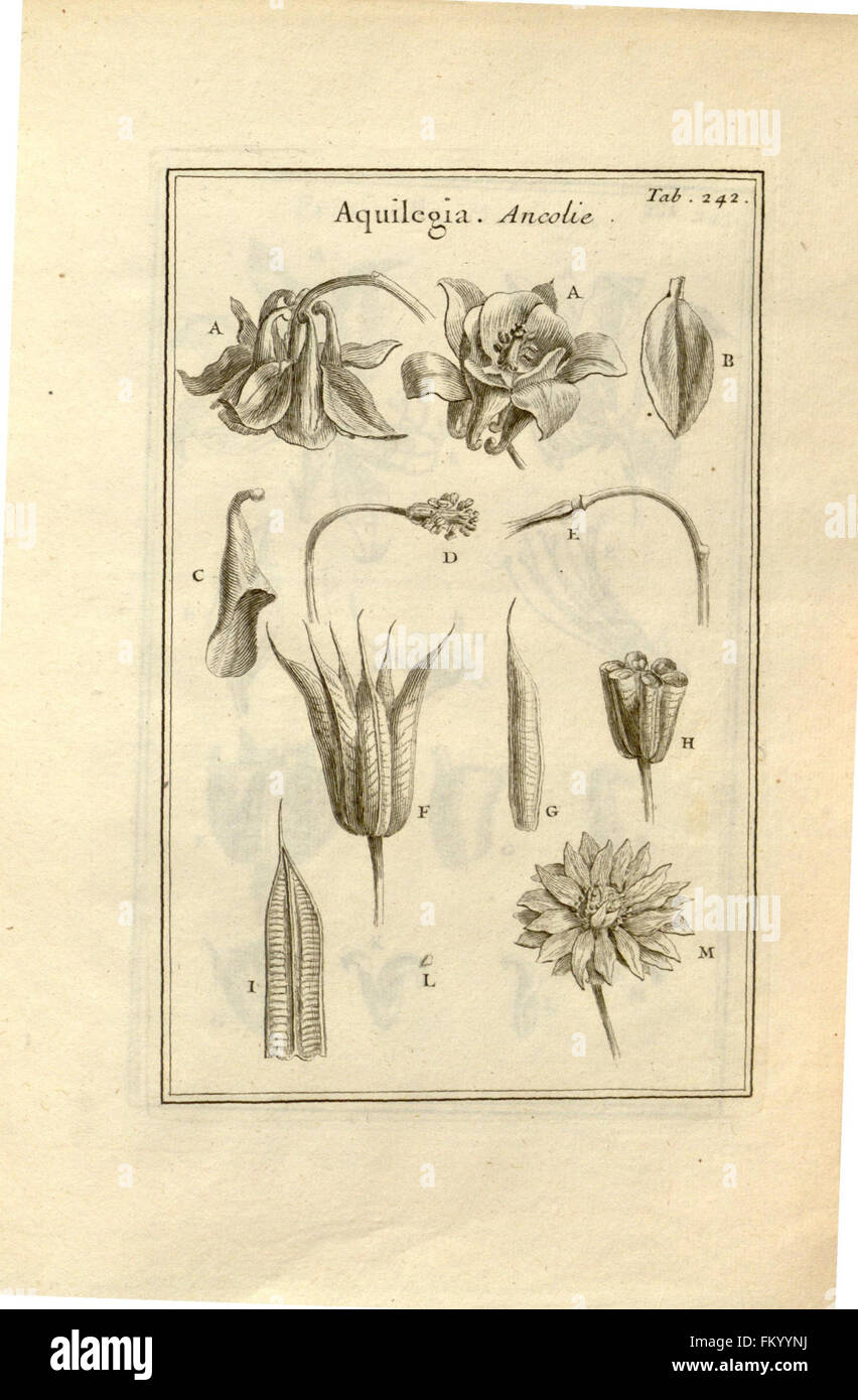 This botanical work by Joseph Pitton de Tournefort features a detailed ...