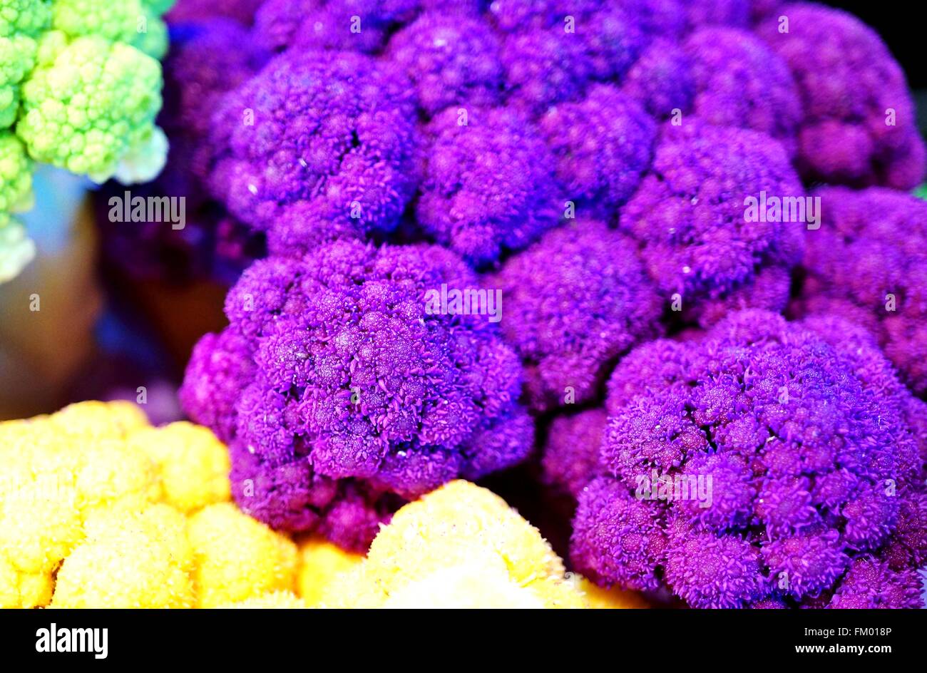 Colorful purple, green and yellow cauliflower Stock Photo - Alamy